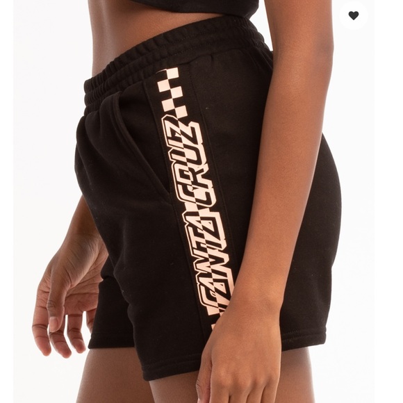 Santa Cruz Skateboards | Shorts | Nwt Santa Cruz Skateboards Intro ...